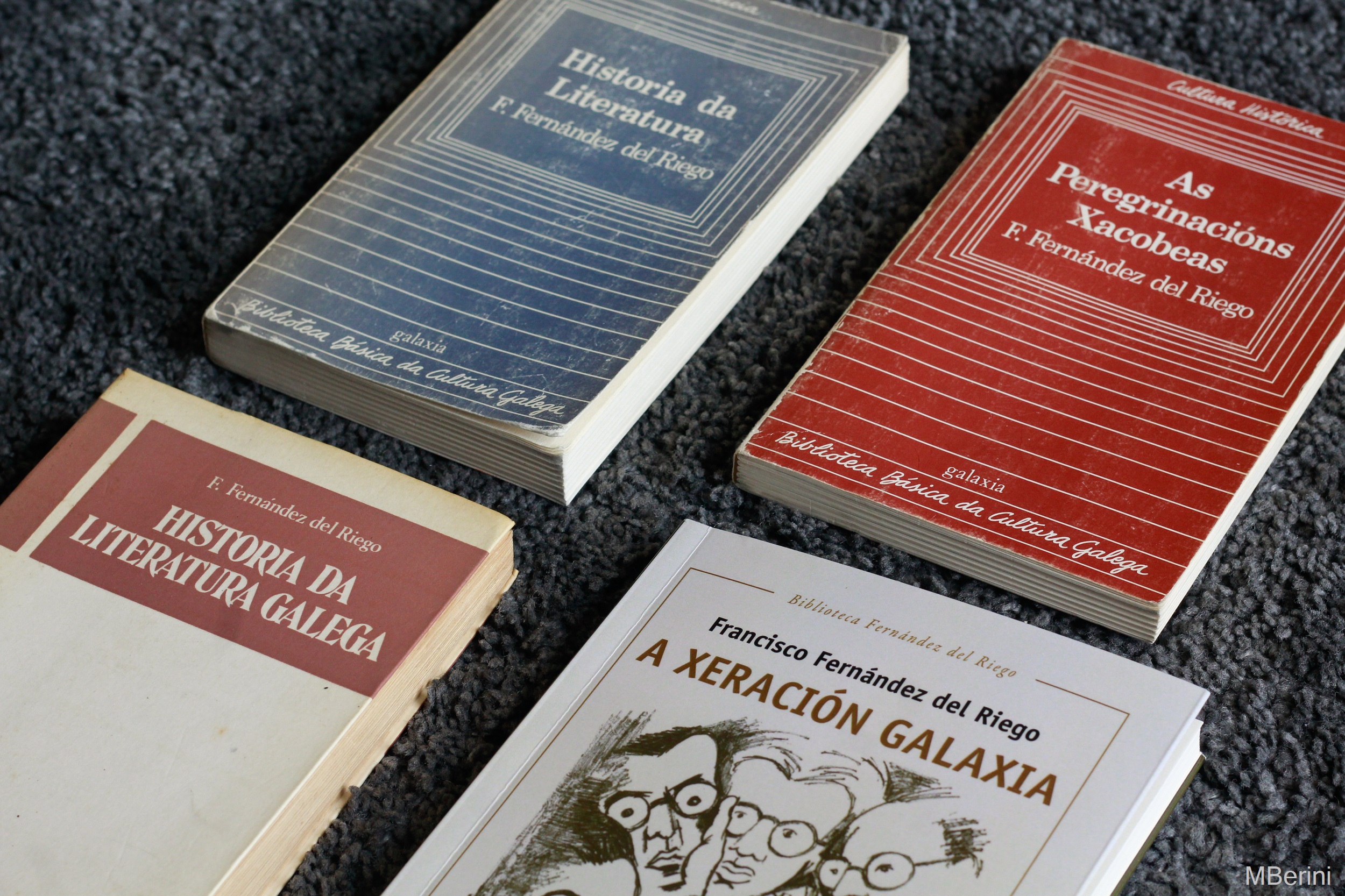 «A Fernández del Riego, un gran divulgador» – María Berini